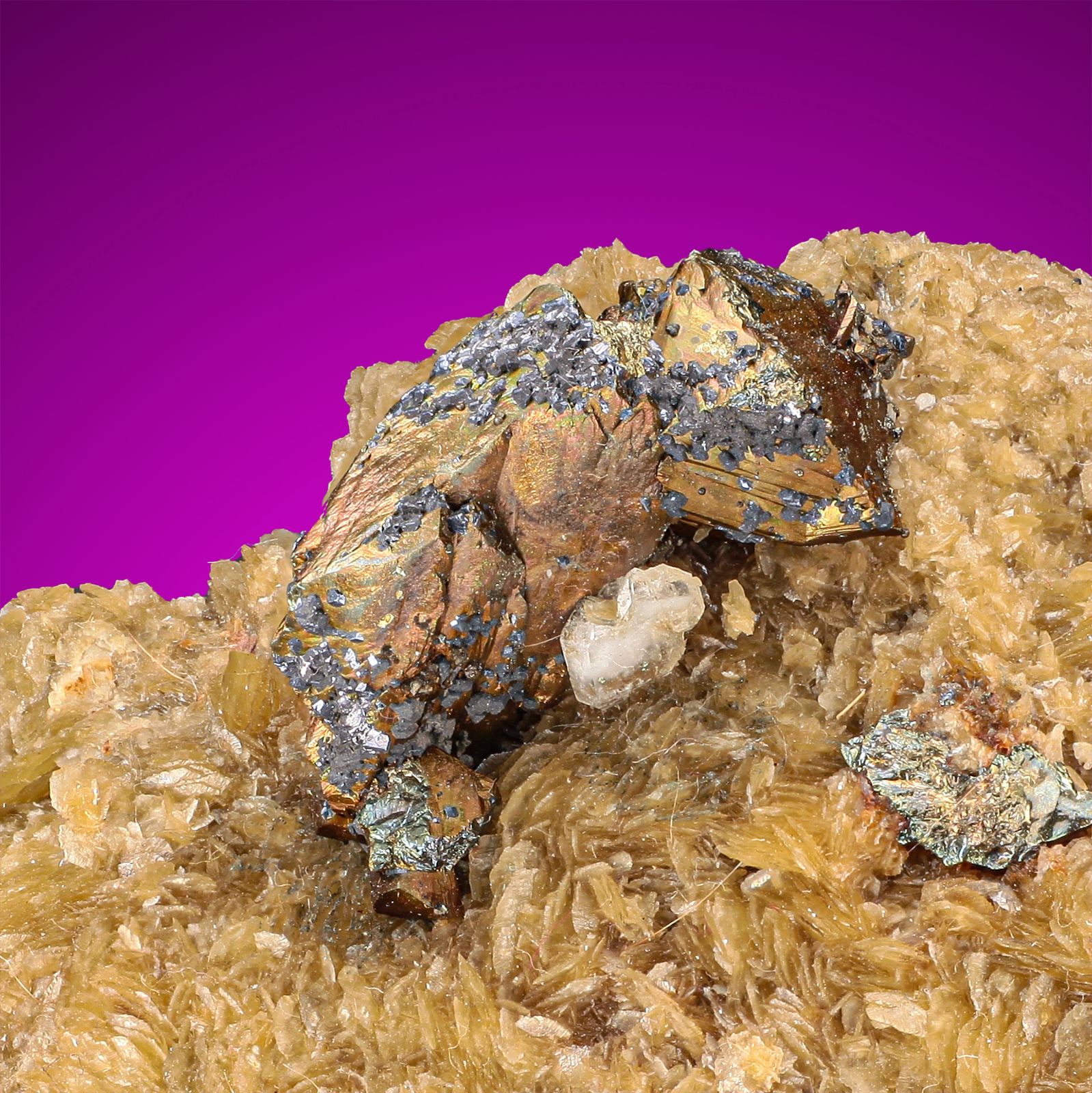 Wendel-Minerals | Item: 4213 - Chalcopyrite-Georg Mine | Willroth ...