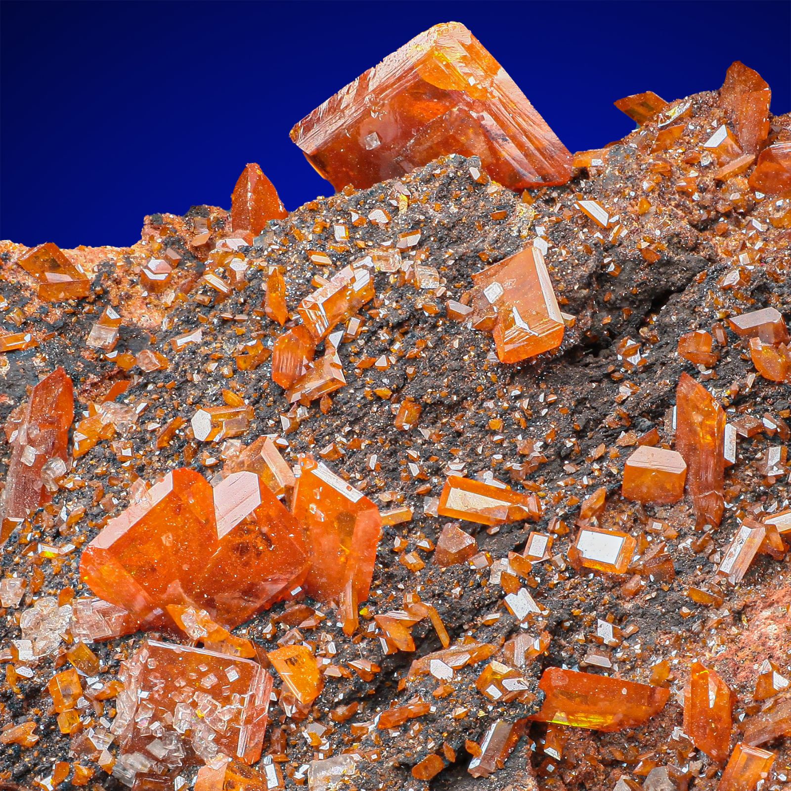 Wendel-Minerals | Item: 4379 - Wulfenite-Red Cloud Mine | Silver ...