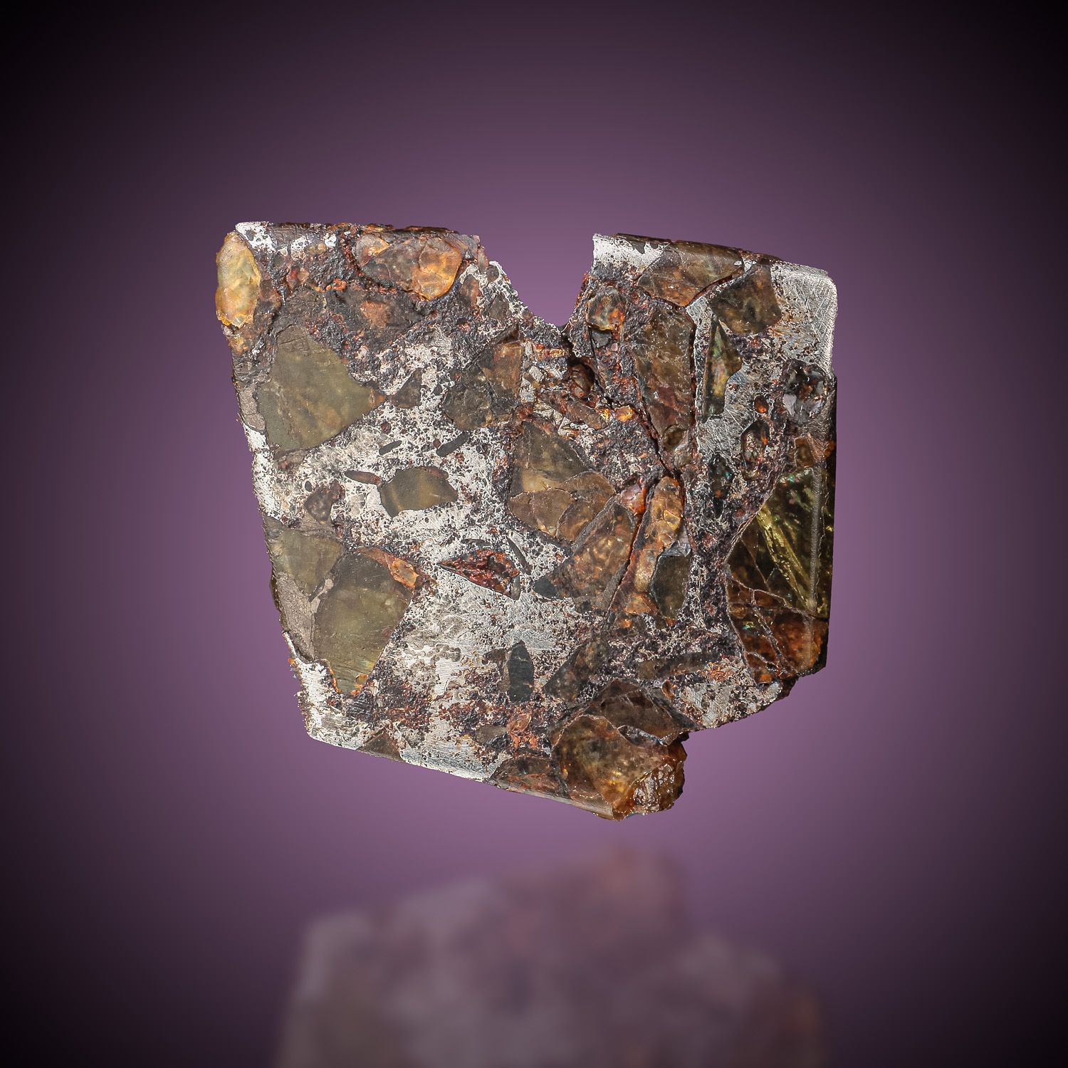 Wendel-Minerals | Item: 4455 - Pallasite Meteorite-Admire Meteorite ...
