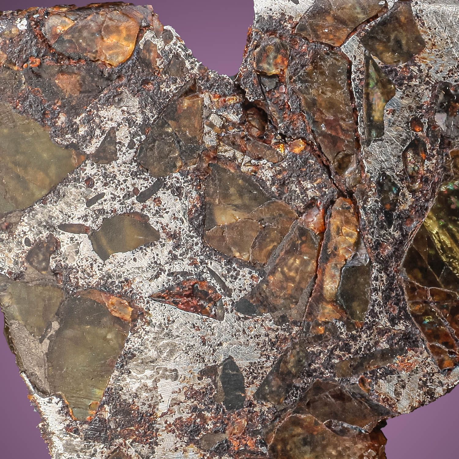 Wendel-Minerals | Item: 4455 - Pallasite Meteorite-Admire Meteorite ...