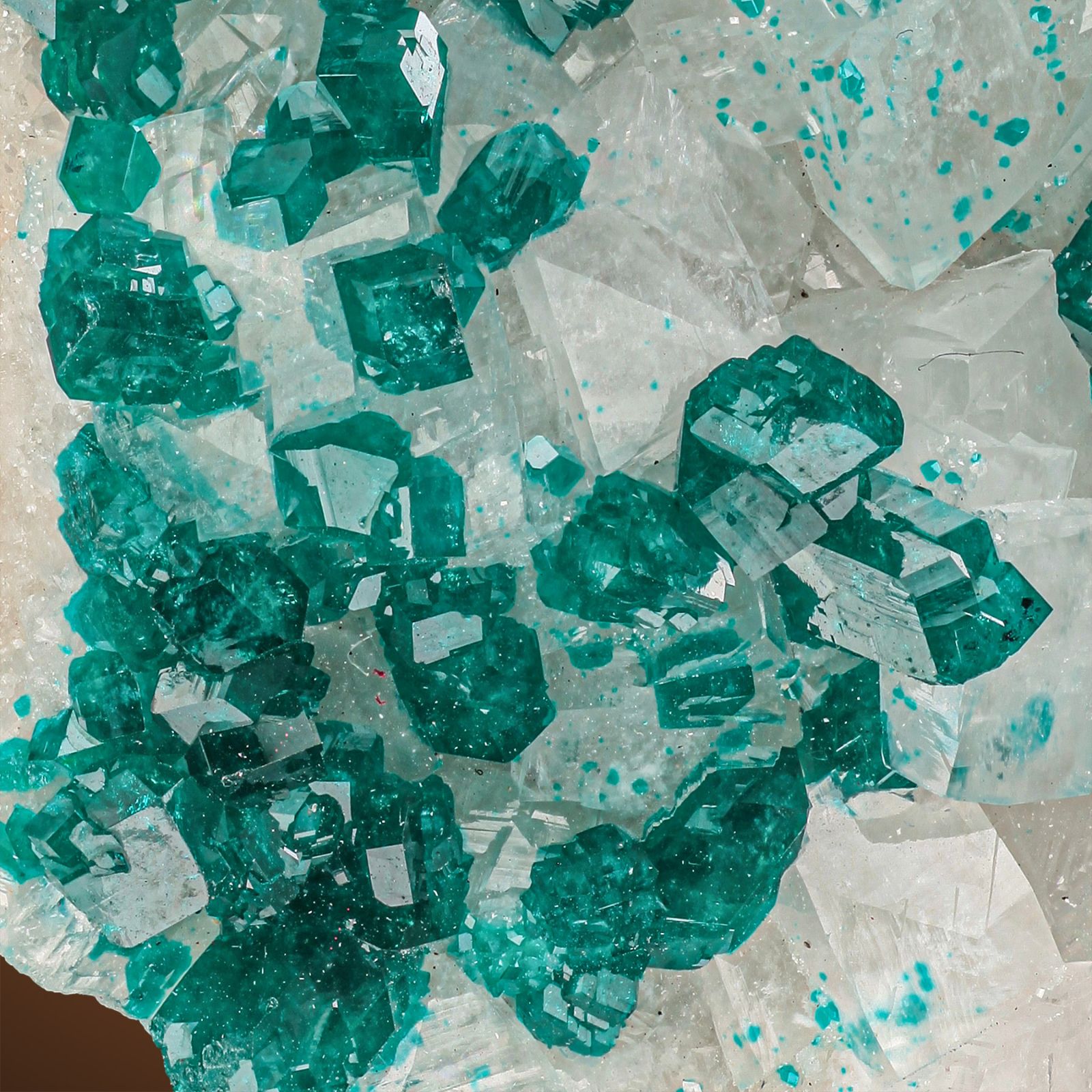 Wendel-Minerals | Item: 6584 - Dioptase-Tsumeb Mine (Tsumcorp Mine ...