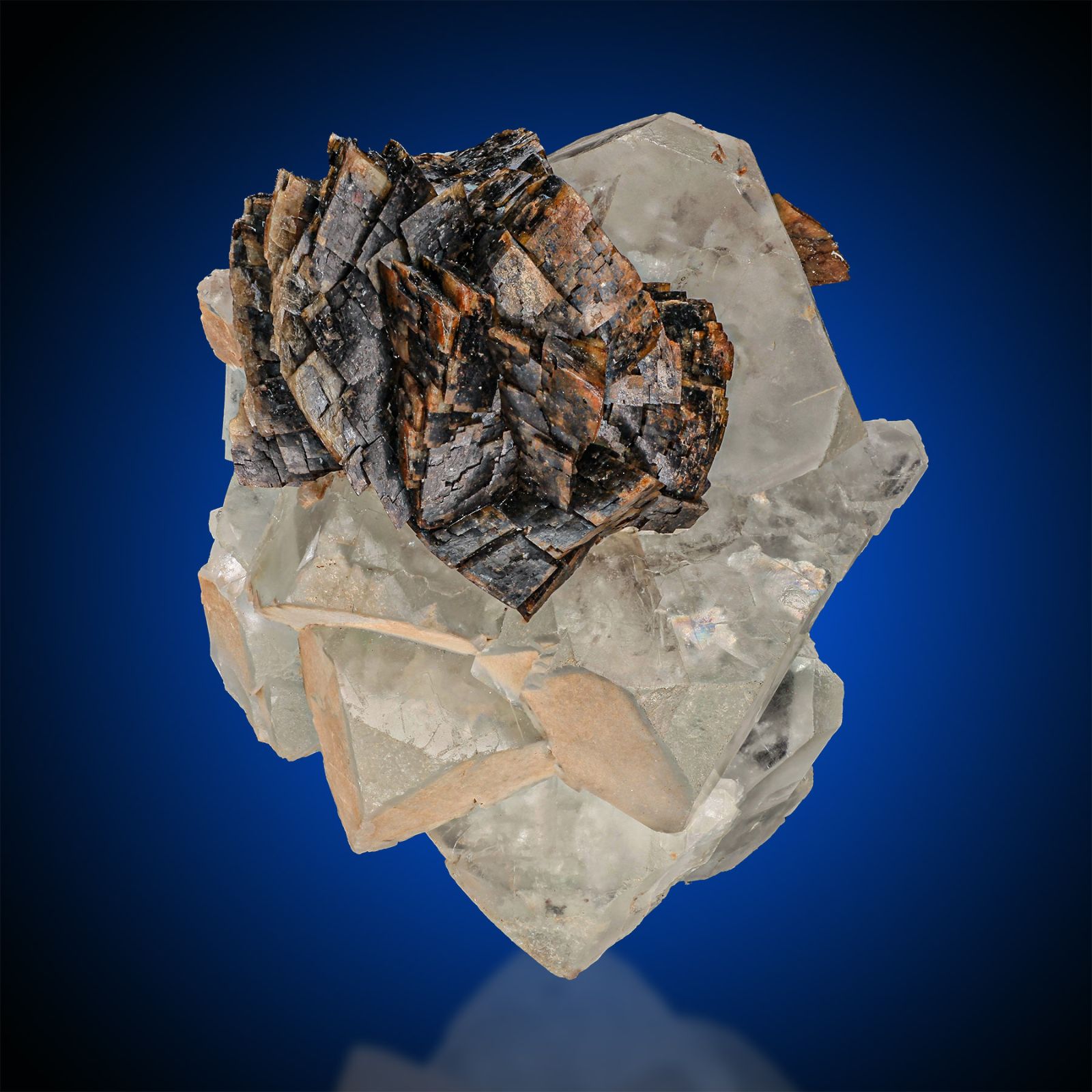 Wendel-Minerals | Item: 6592 - Siderite-Stolberg | Mansfeld | Harz ...
