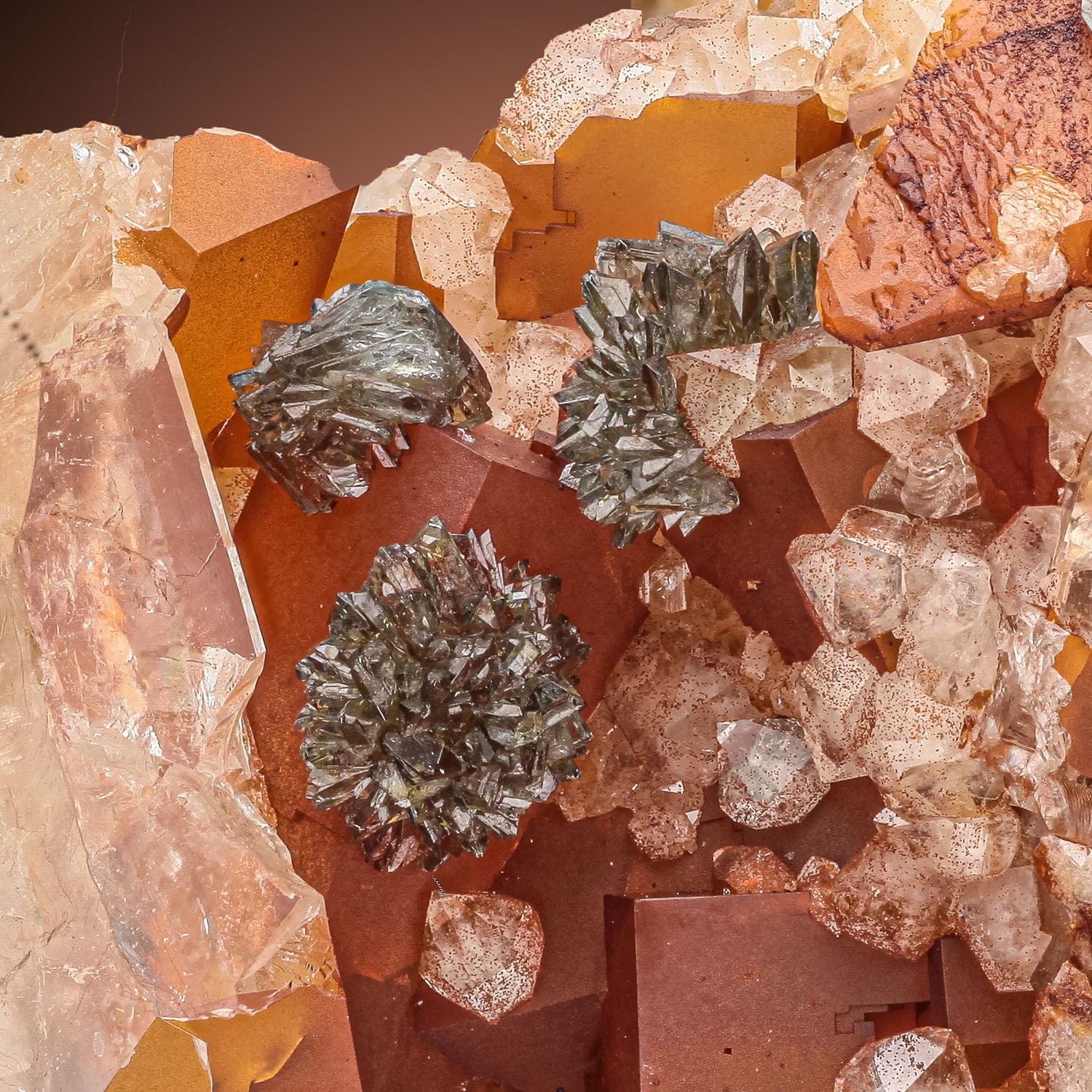 Wendel-Minerals | Item: 5224 - Scorodite-Clara Mine | Wolfach | Black ...