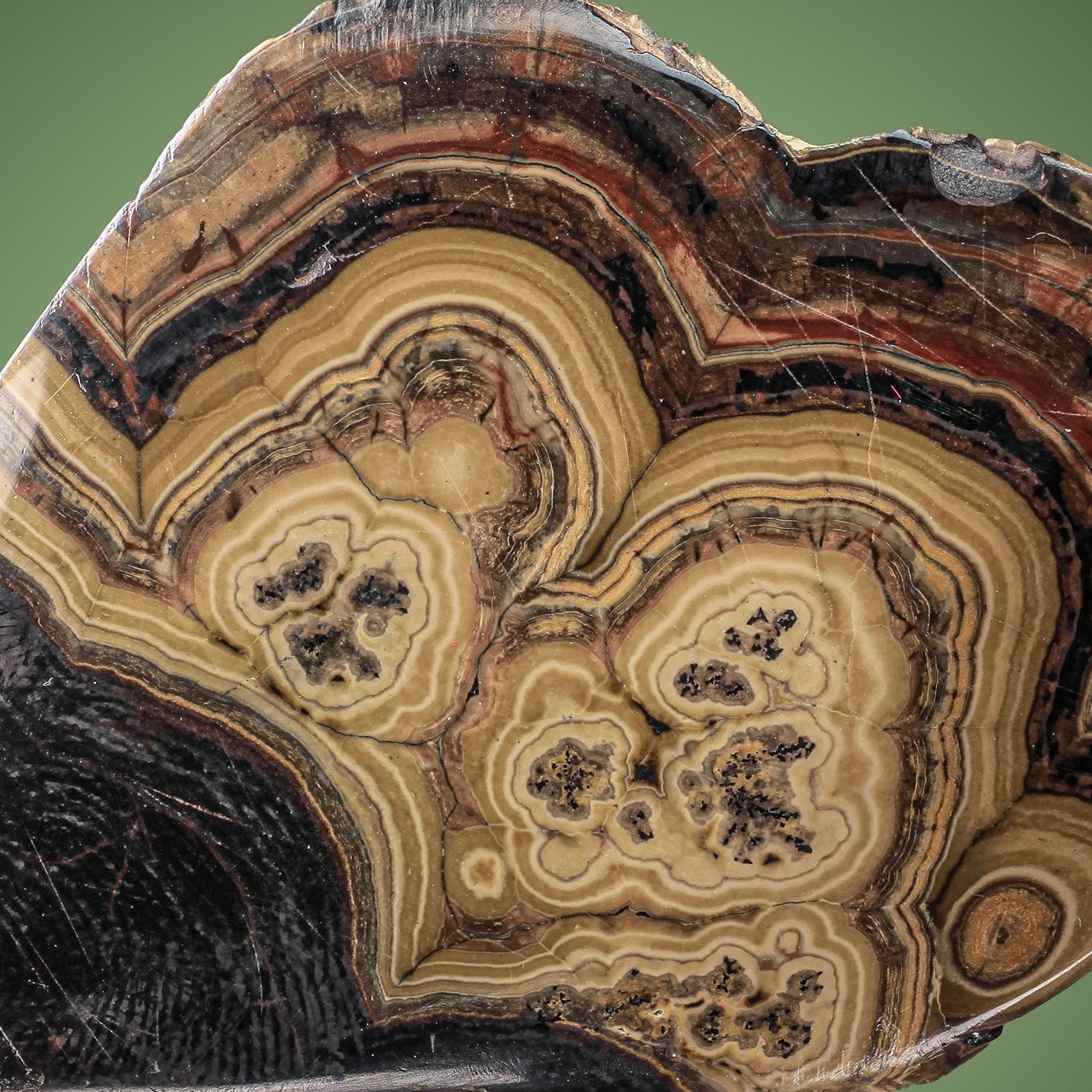 Wendel-Minerals | Item: 5412 - Schalenblende-Schmalgraf Mine | Kelmis ...