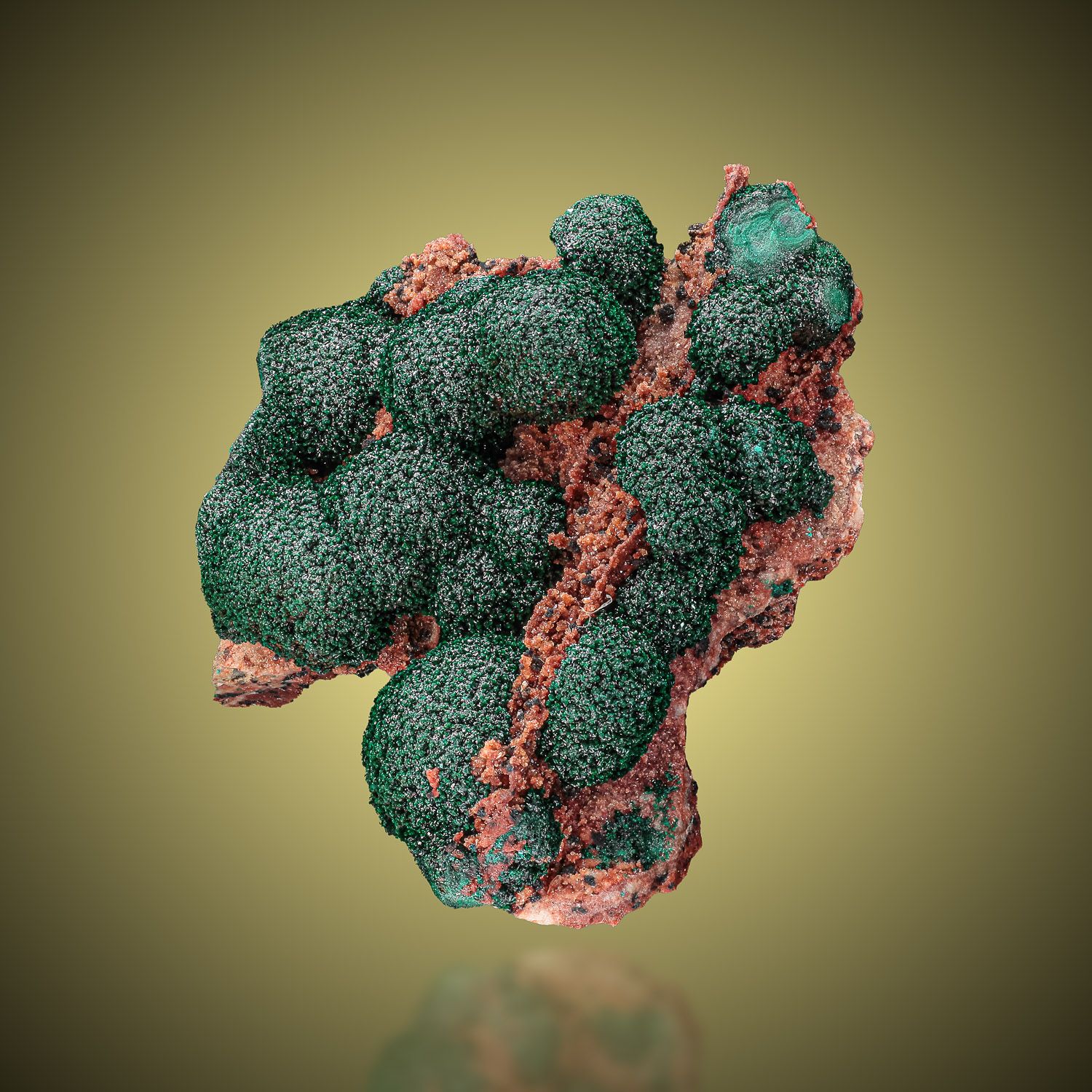 Wendel-Minerals | Item: 5434 - Malachite-Mashamba West Mine | Kolwezi ...