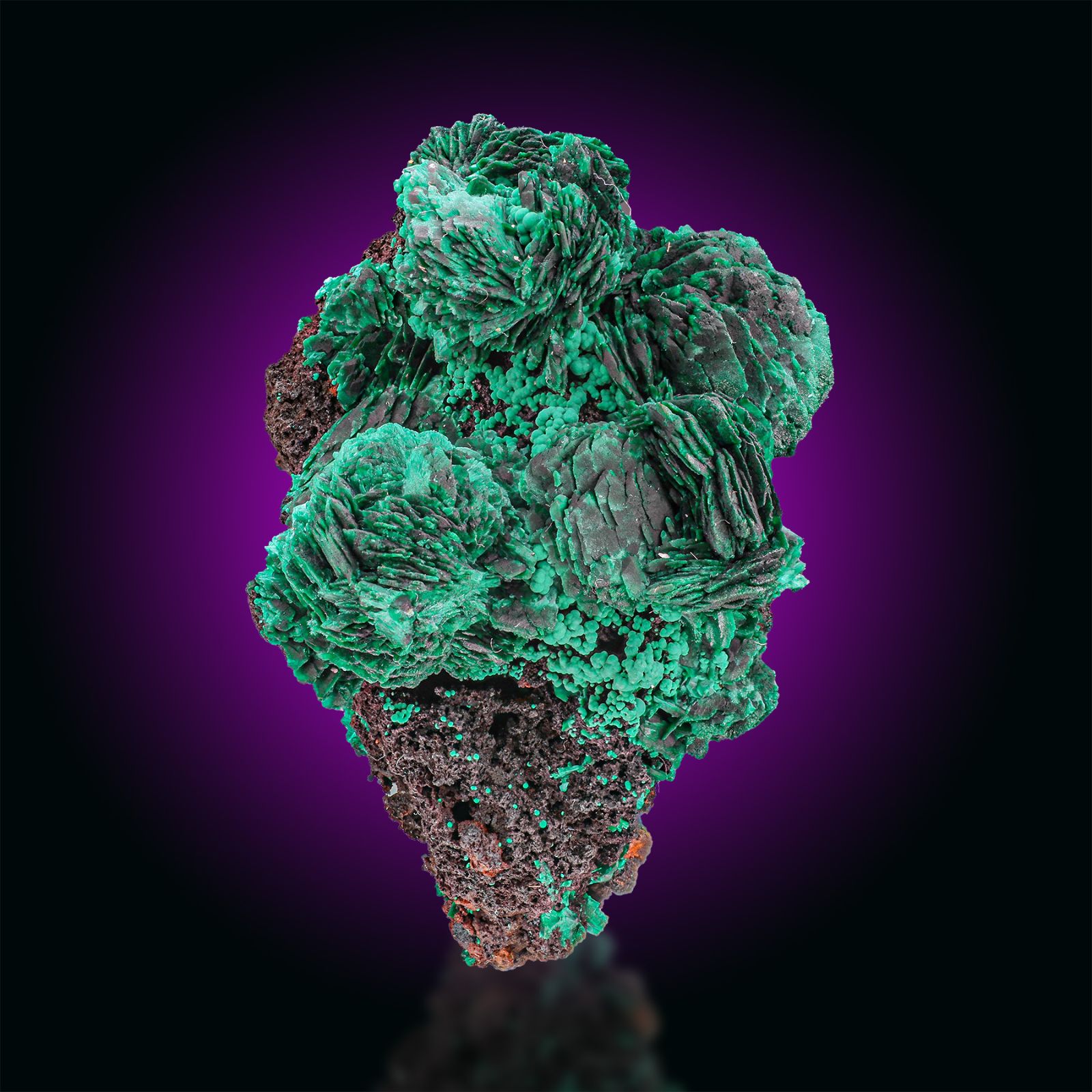 Wendel-Minerals | Item: 5507 - Malachite-Seabra | Bahia | Brazil