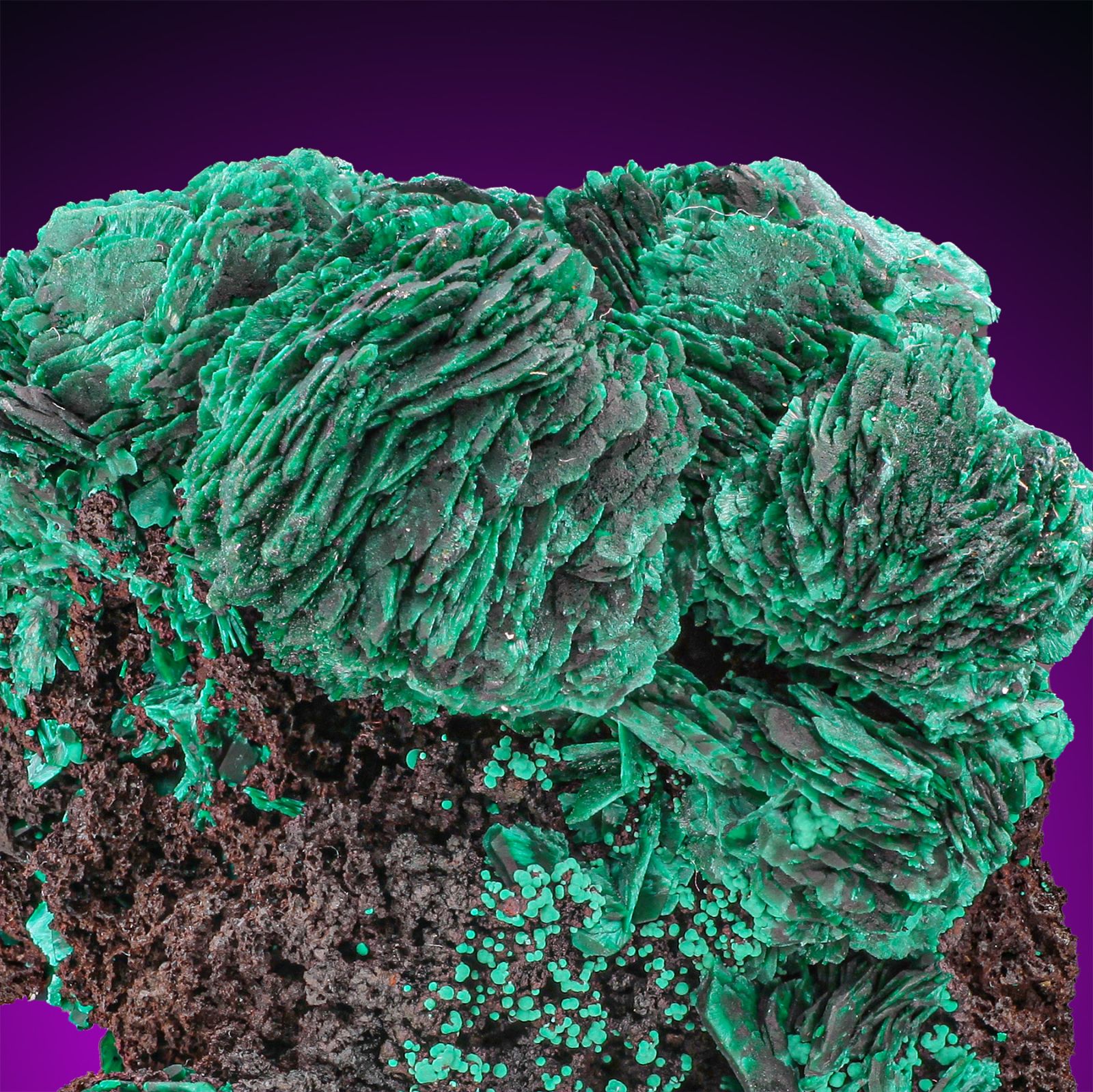 Wendel-Minerals | Item: 5507 - Malachite-Seabra | Bahia | Brazil