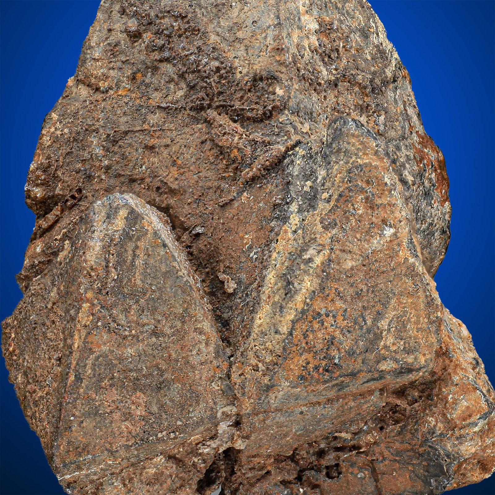 Wendel-Minerals | Item: 5658 - Galena-Erlenbach Mine | Moresnet ...