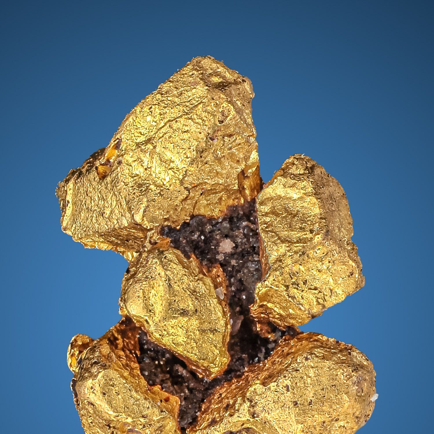 Wendel-Minerals | Item: 5688 - Gold-Vogelstruisbult | Nigel ...