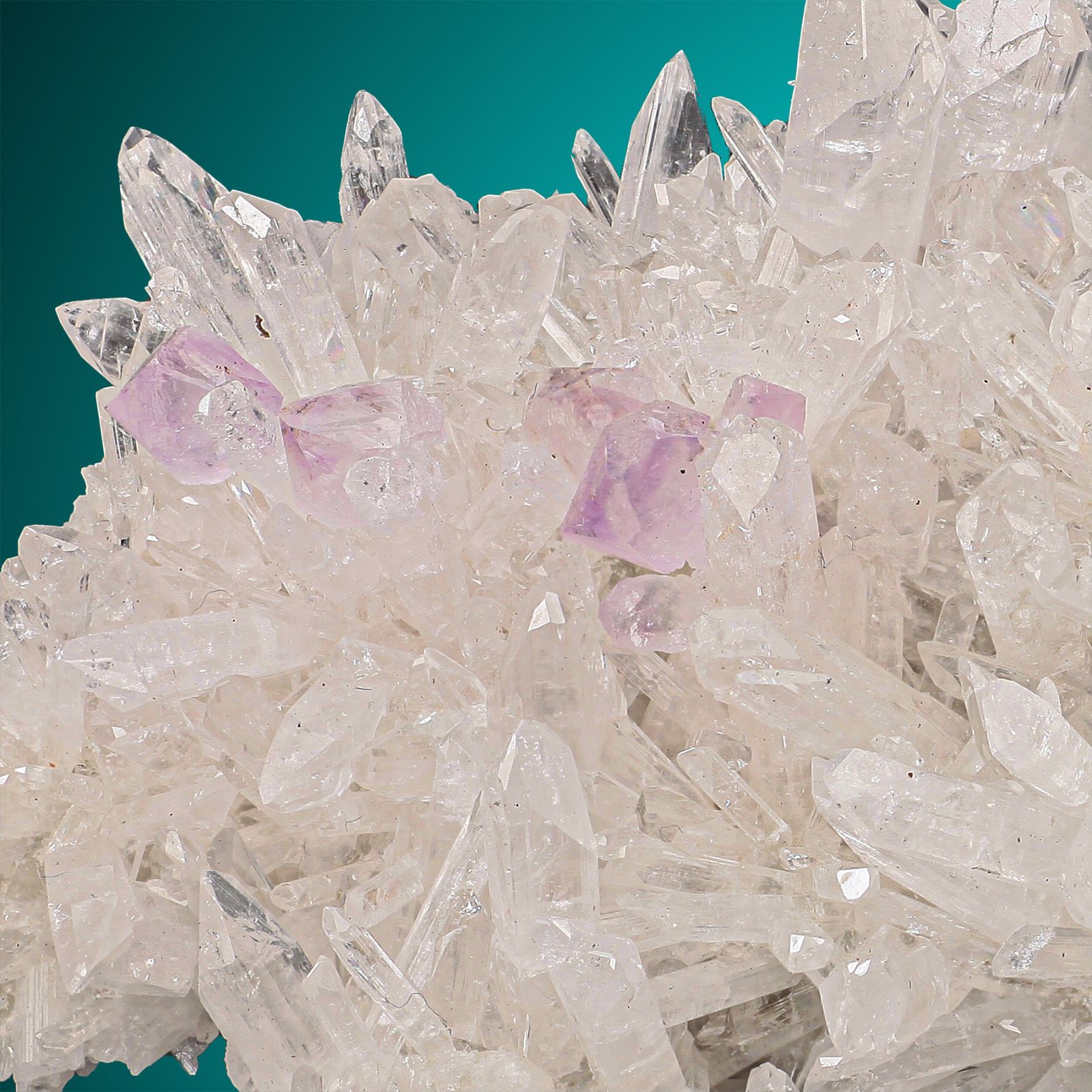 Wendel-Minerals | Item: 5703 - Amethyst-San Bartolo Mine | Charcas ...