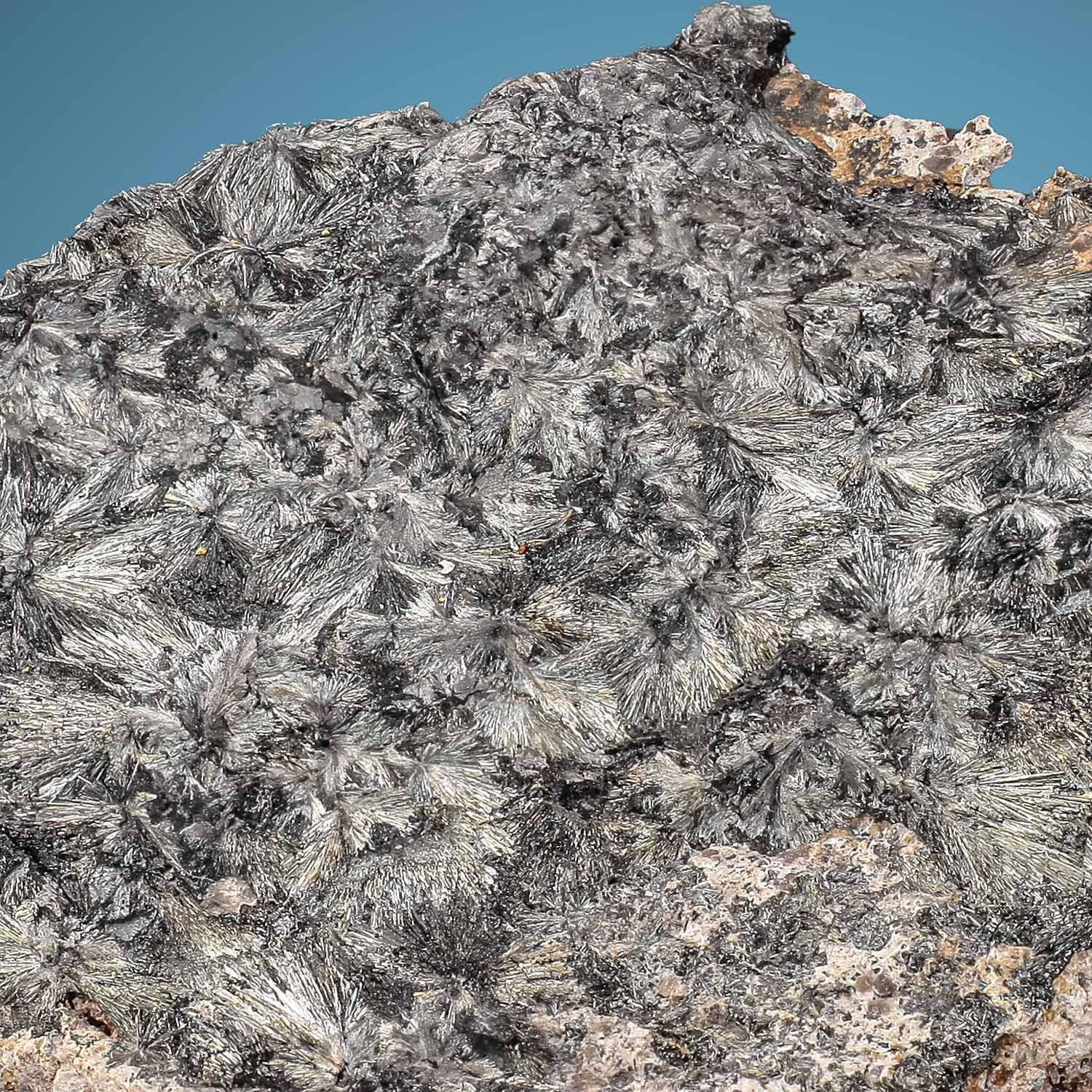 Wendel-Minerals | Item: 6093 - Pyrolusite-Elgersburg | Ilmenau ...