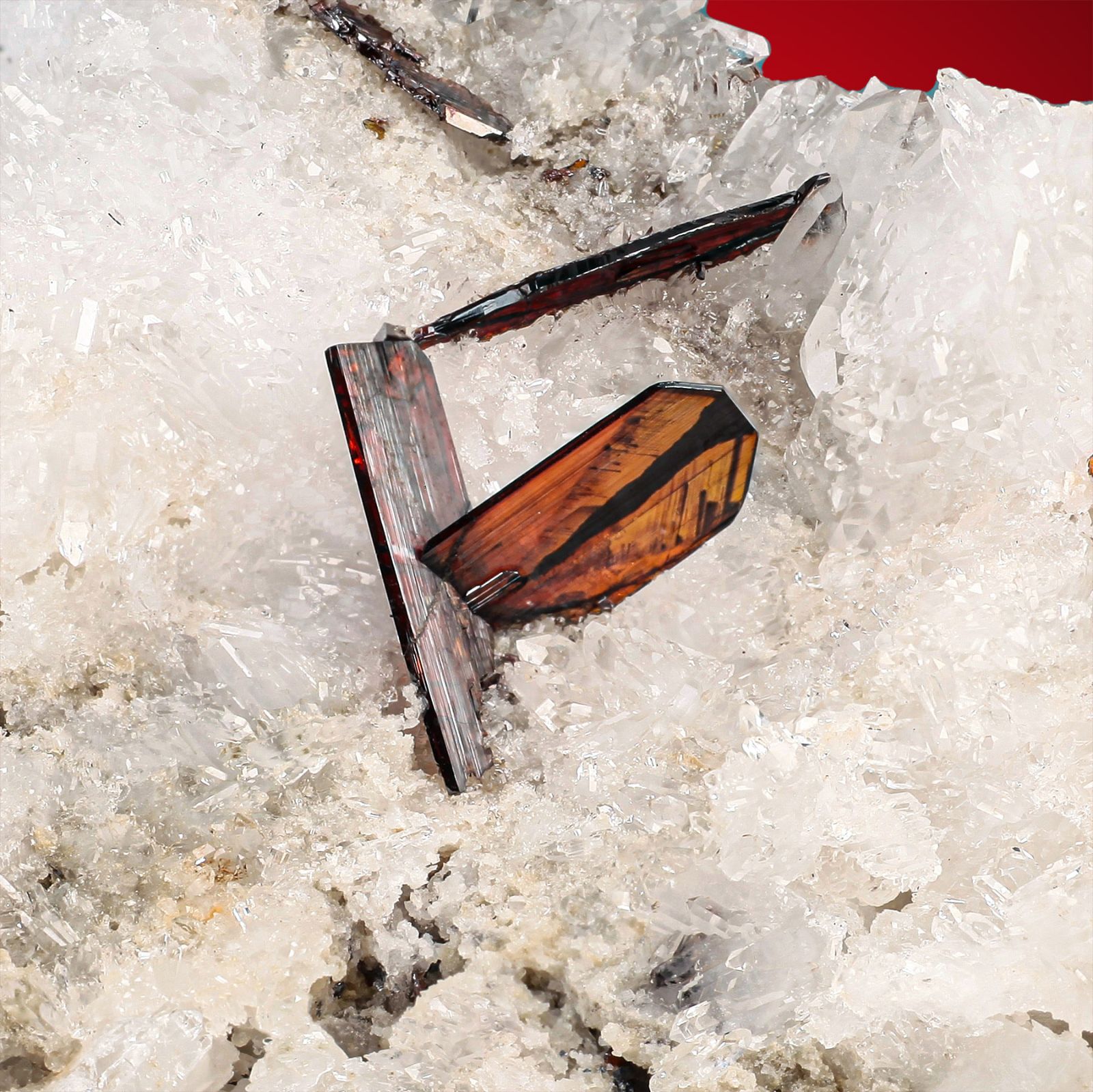 Wendel-Minerals | Item: 6247 - Brookite-Zard Mt. | Ras Koh Mts ...